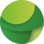 Apiso | About Our Company | B2B Virtual Card Integration Services