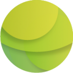 Apiso | About Our Company | B2B Virtual Card Integration Services